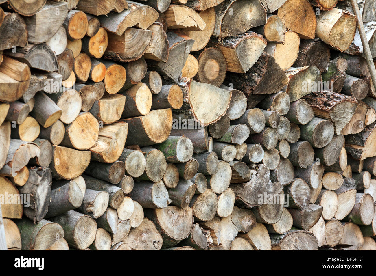 Logs of wood of different shapes, sizes and kinds piled together Stock ...