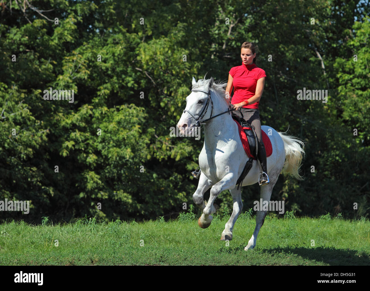 Beautiful girl on horseback in hi-res stock photography and images - Alamy