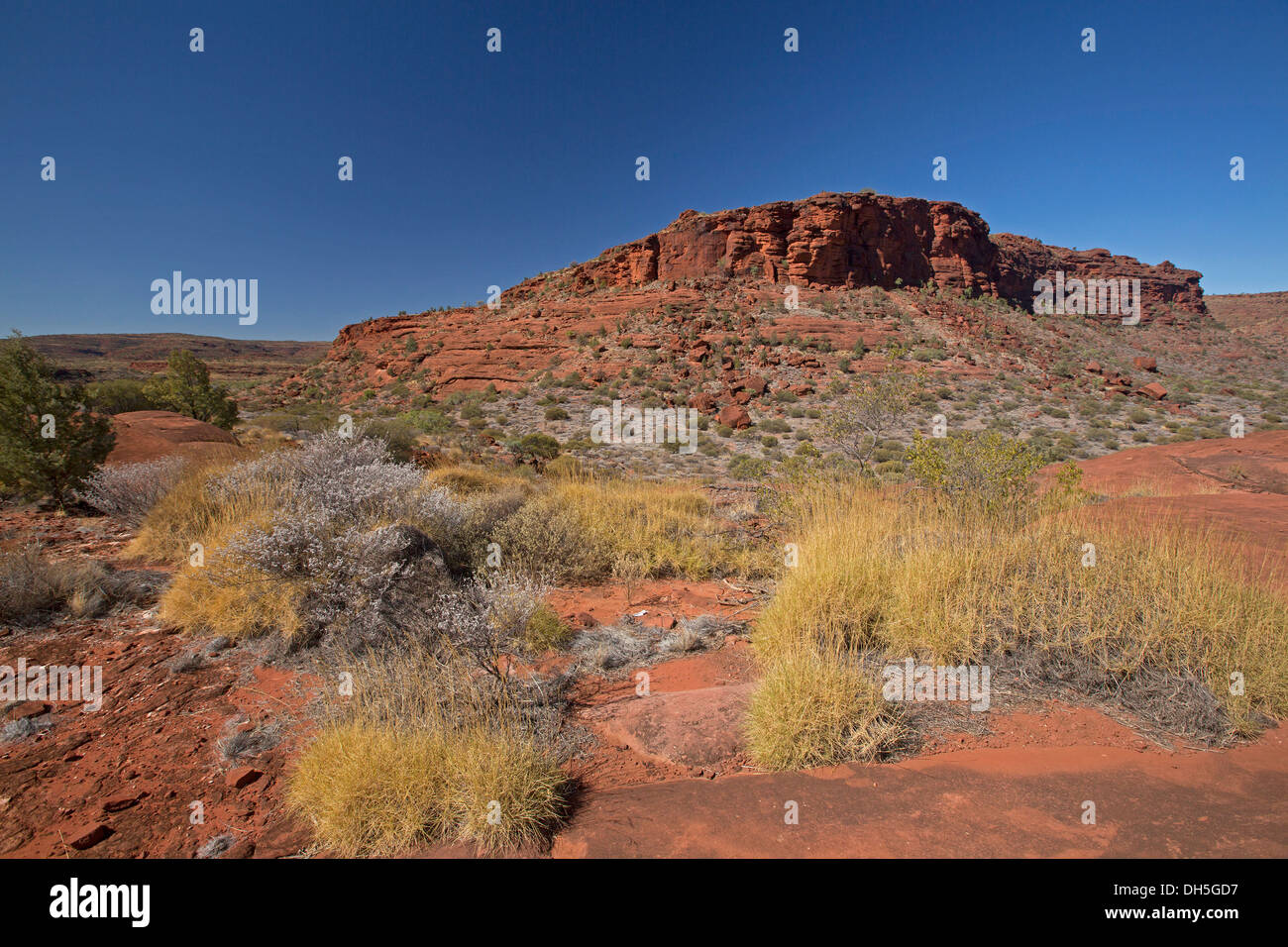 Landscape - vast outback landscape of golden spinifex grass, red rocky ...