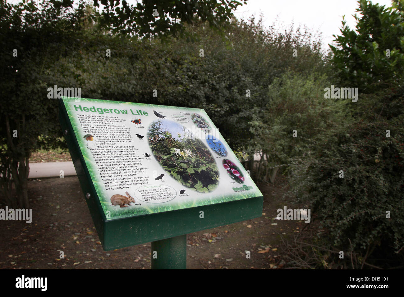 Environmental information nature sign Stock Photo - Alamy