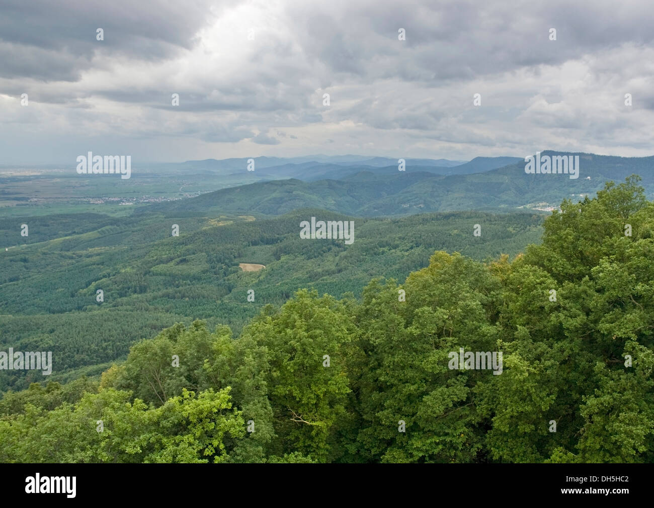 aerial view around the Haut-Koenigsbourg Castle, a historic castle ...