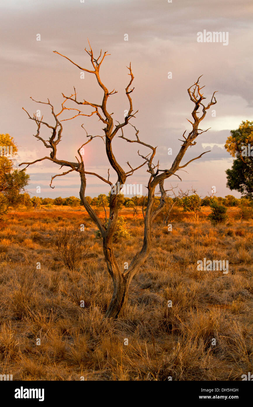 Australian scenery and scenery hi-res stock photography and images - Alamy