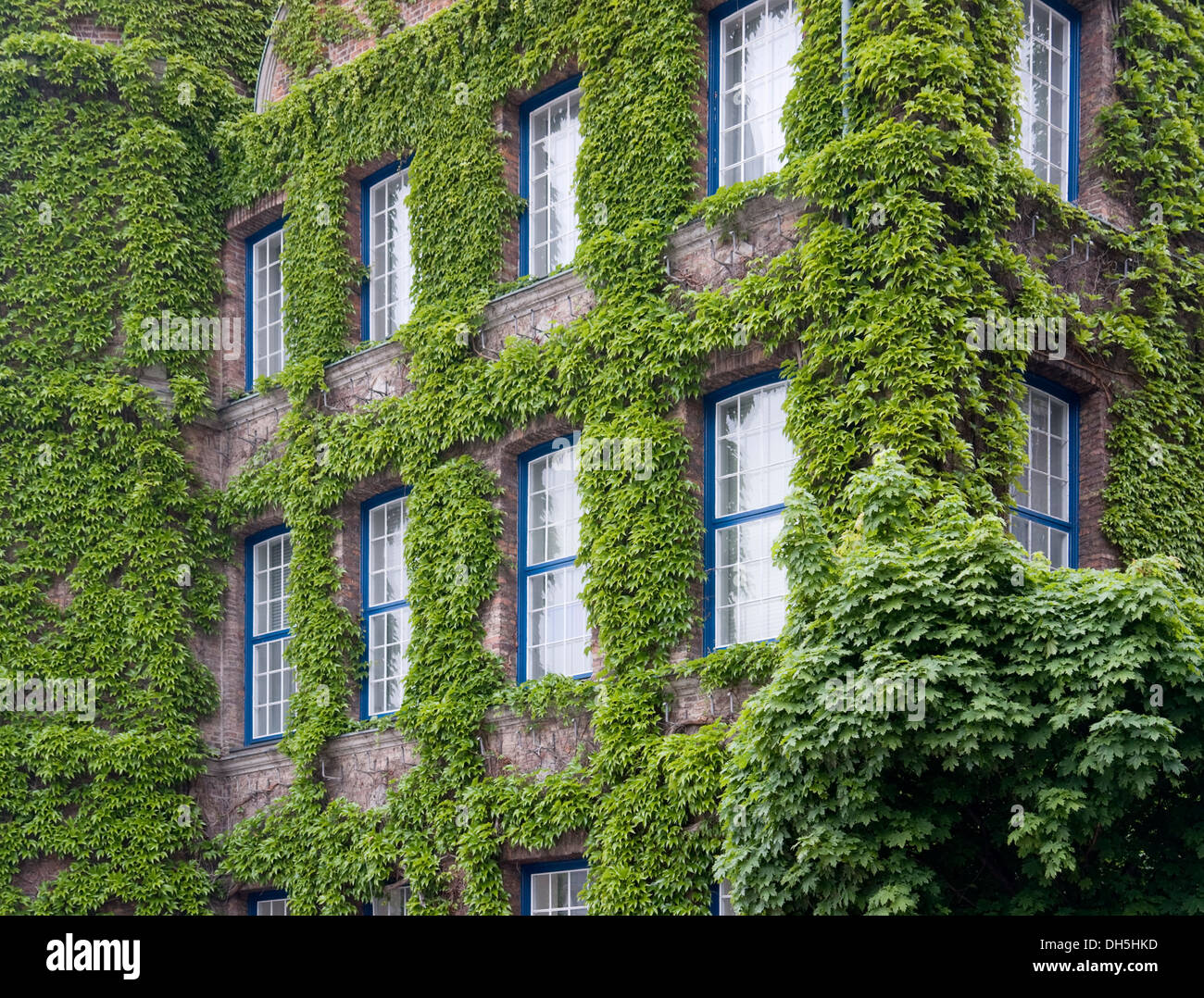 Overgrown house facade hi-res stock photography and images - Alamy
