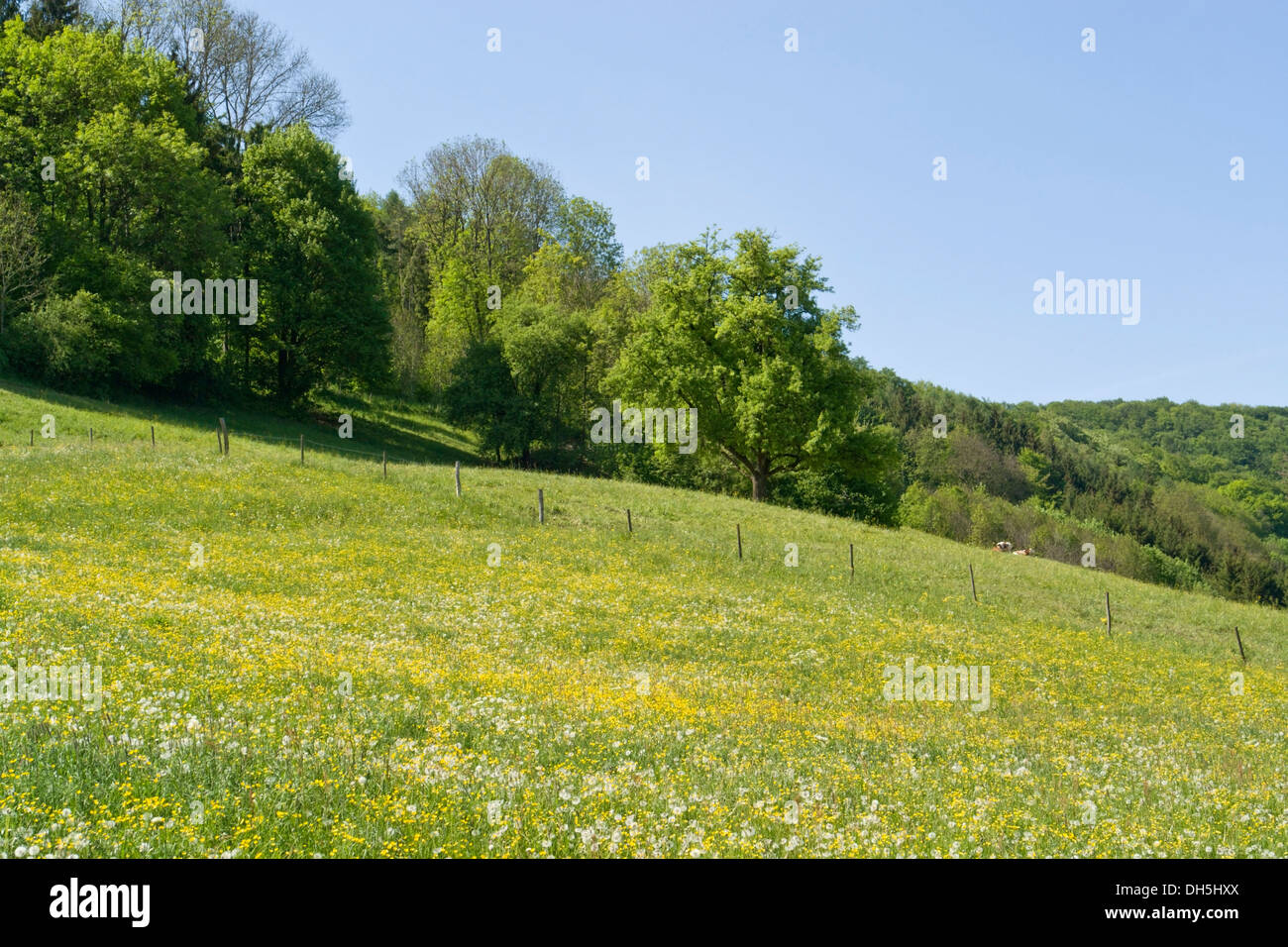 Germany rural hi-res stock photography and images - Alamy