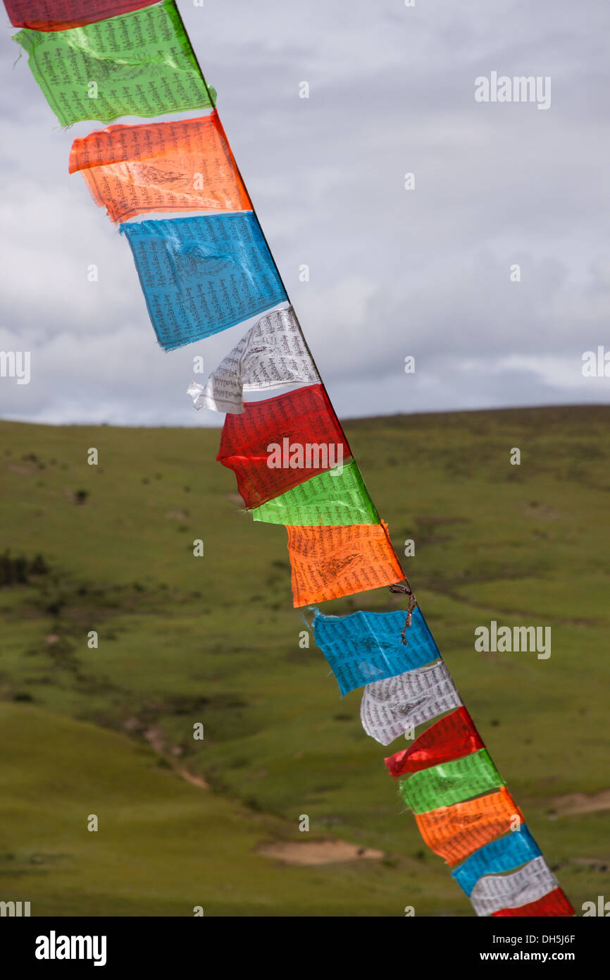 Prayer flags in litang hi-res stock photography and images - Alamy