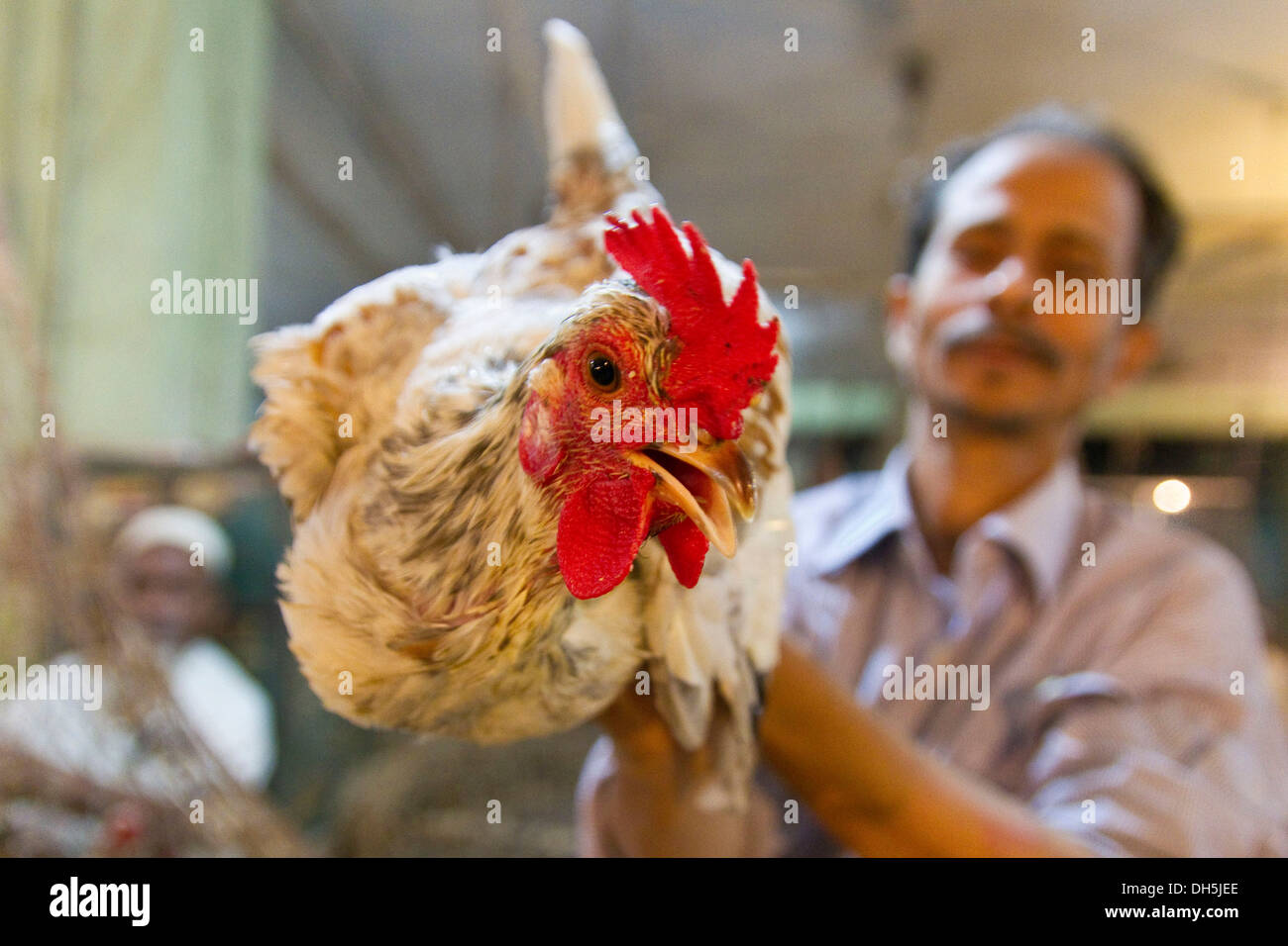 Lifting works hi-res stock photography and images - Alamy