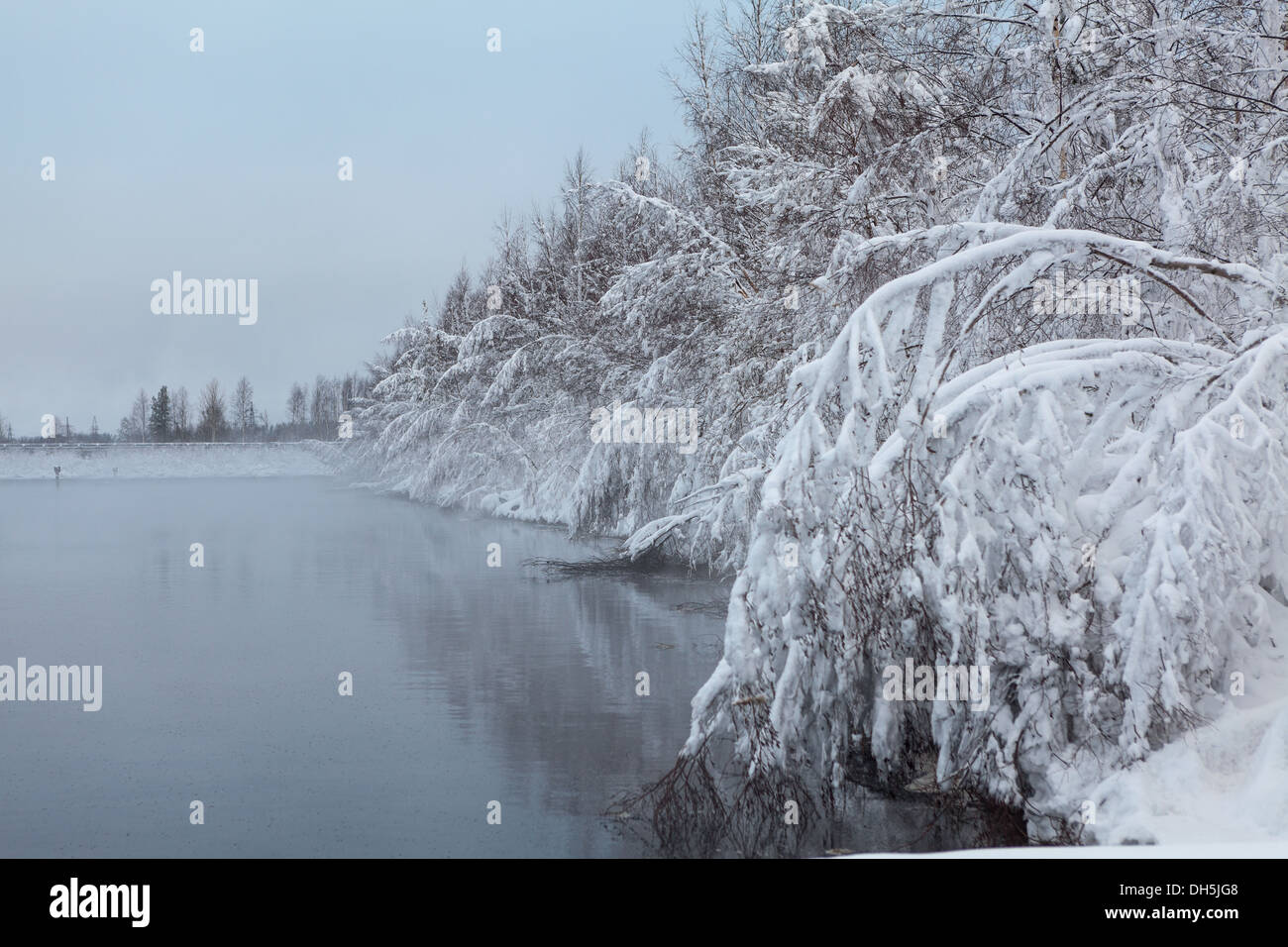 Hanging branches with heavy snow hi-res stock photography and images ...