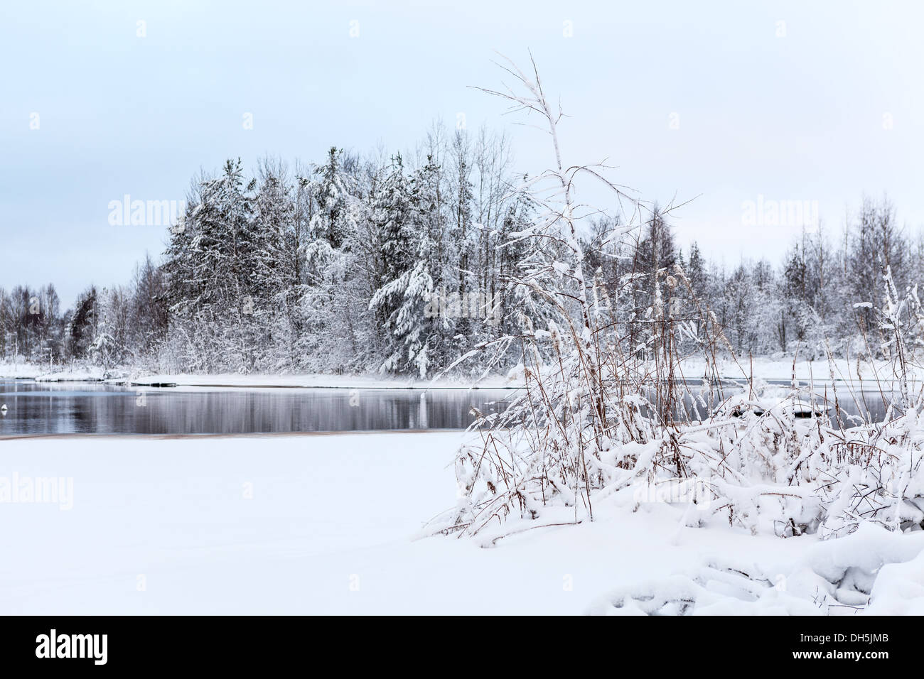 North shore forest hi-res stock photography and images - Alamy