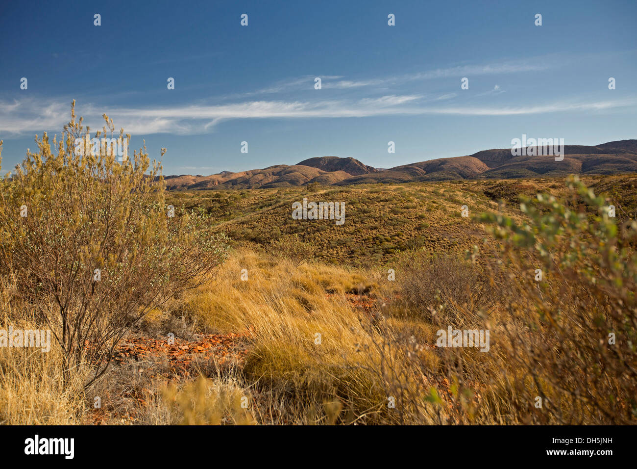 Macdonnell ranges hi-res stock photography and images - Alamy