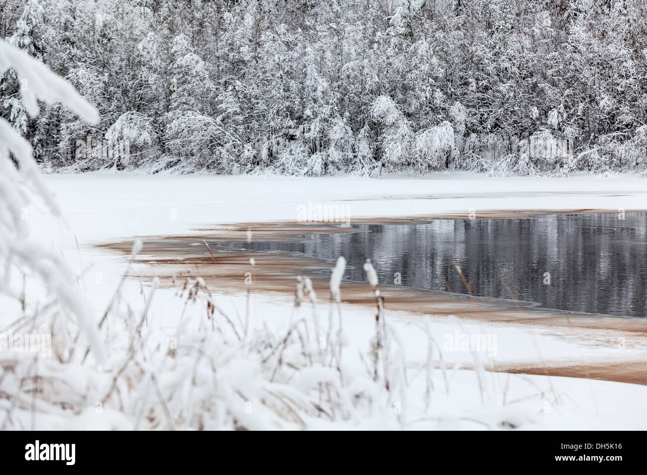 Puddle of melted snow hi-res stock photography and images - Alamy