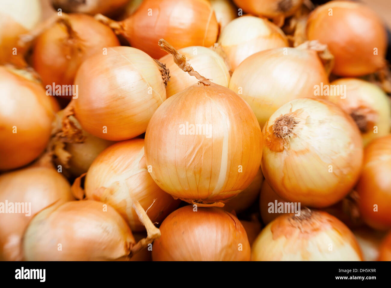 Many red onions hi-res stock photography and images - Alamy