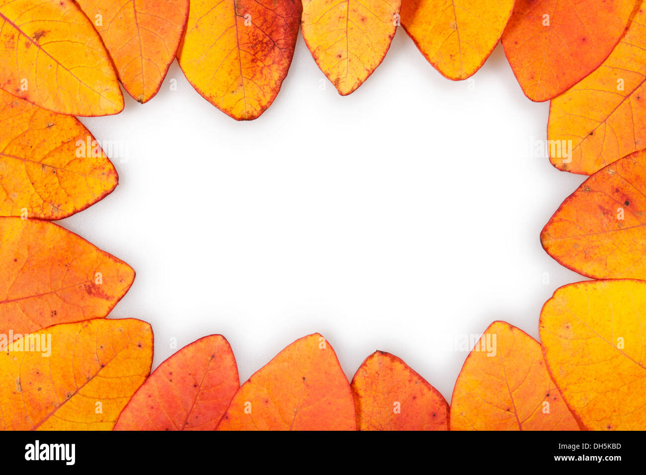 Autumn leaves border hi-res stock photography and images - Alamy