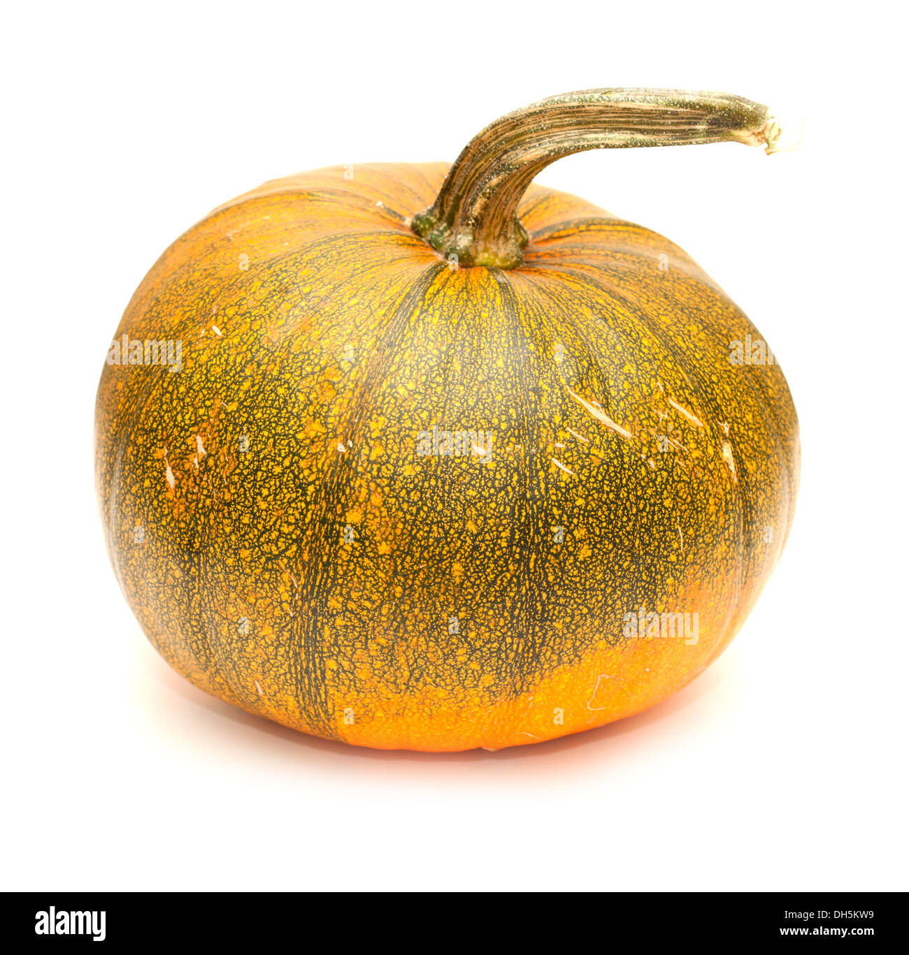 Pumpkin skin Cut Out Stock Images & Pictures - Alamy