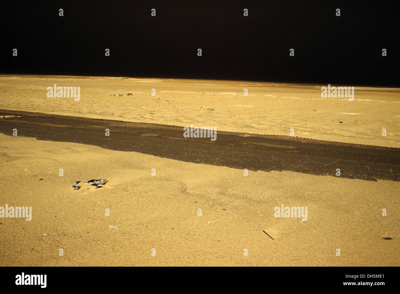 The aftermath of the 1991 Gulf War in Kuwait : oil wells in fire in the ...