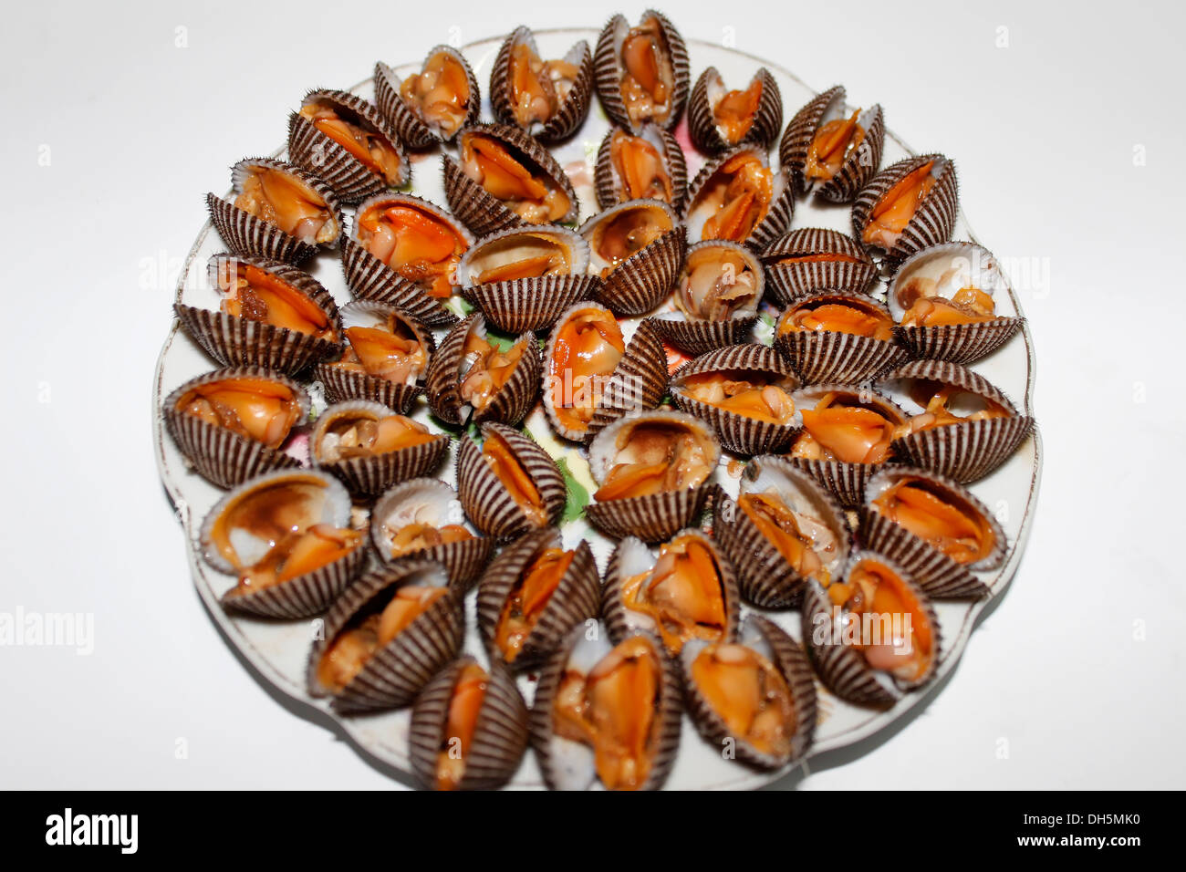 steamed sea shell isolated on white background Stock Photo - Alamy