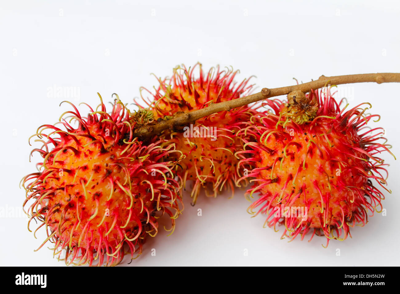 Rambutan fruit tree hi-res stock photography and images - Alamy