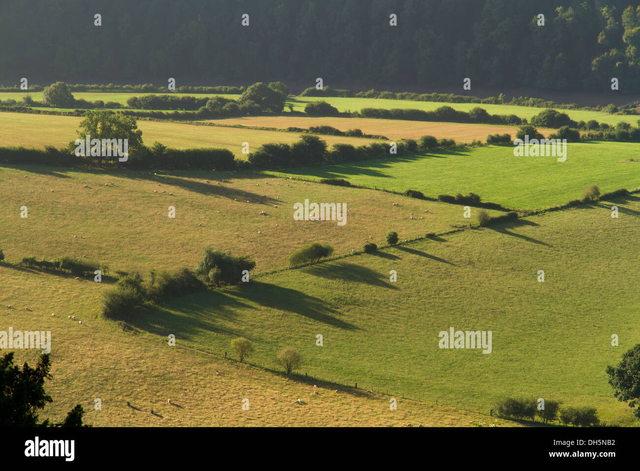 Morning landscape with fields and shadows, River Wye at the Lancaut ...
