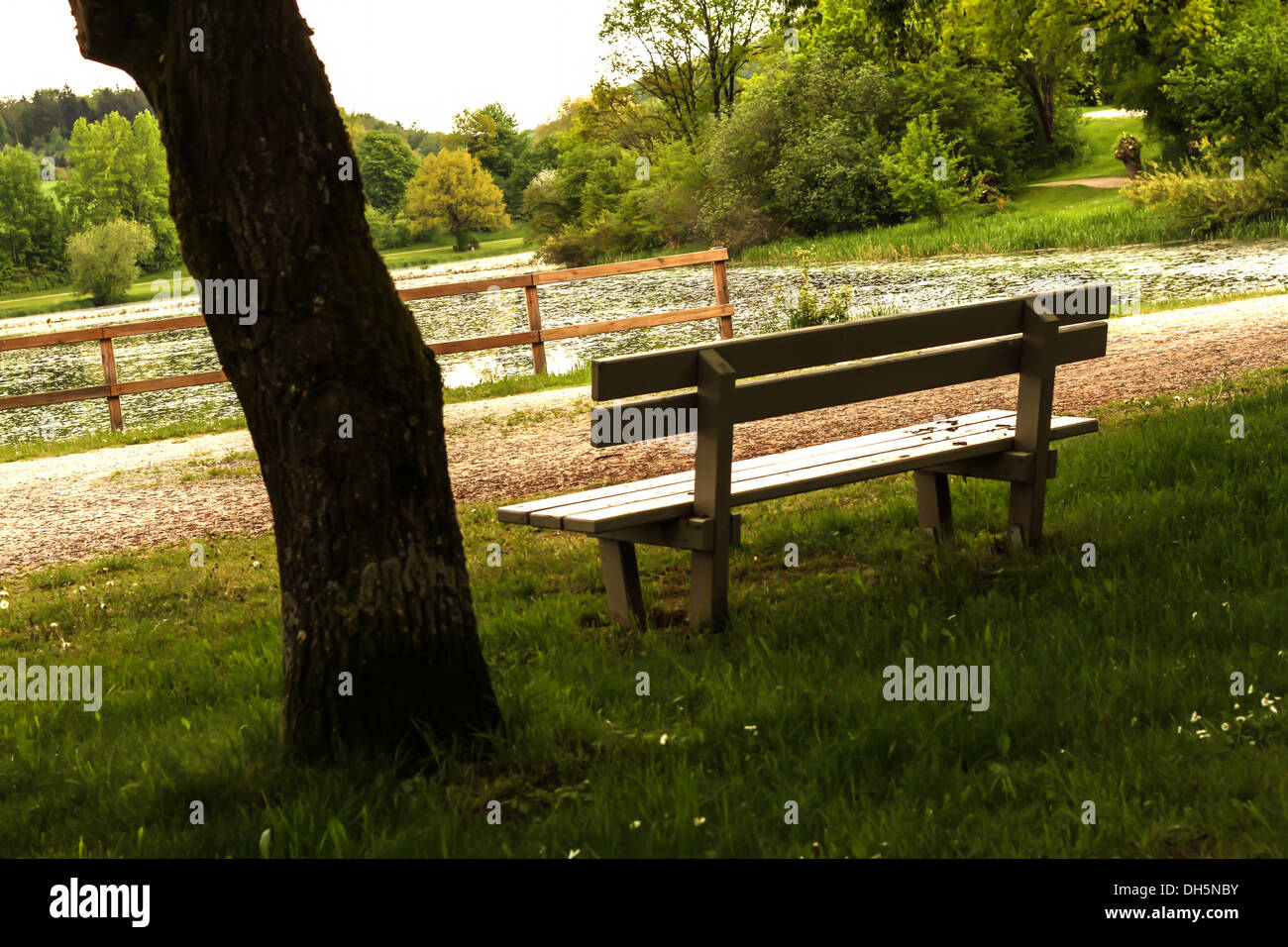 Bench in the woods hi-res stock photography and images - Alamy