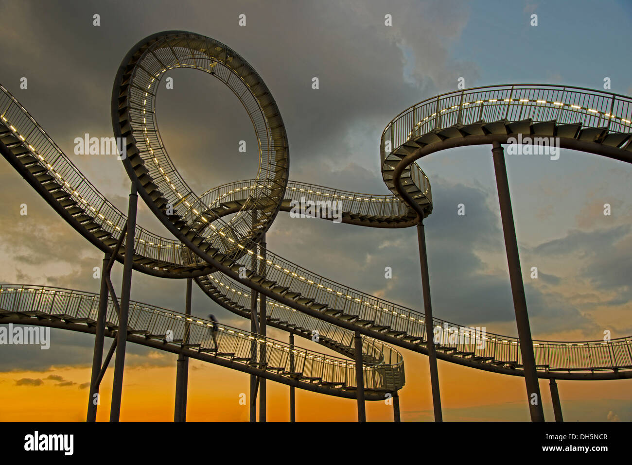 Tiger outline hi-res stock photography and images - Alamy