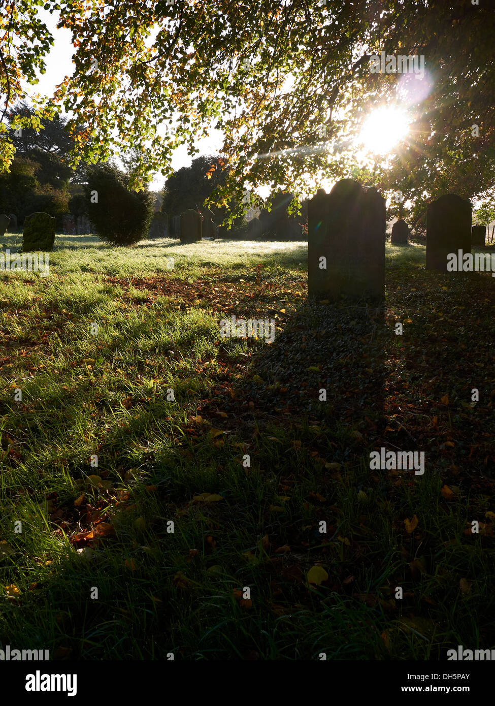 St Marys Church Lenham Stock Photo - Alamy
