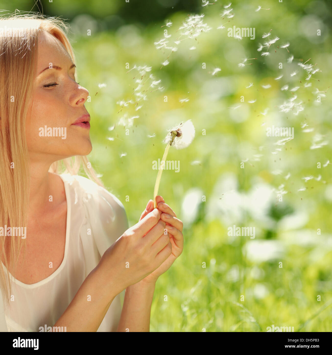 girl blowing on a dandelion lying on the grass Stock Photo - Alamy