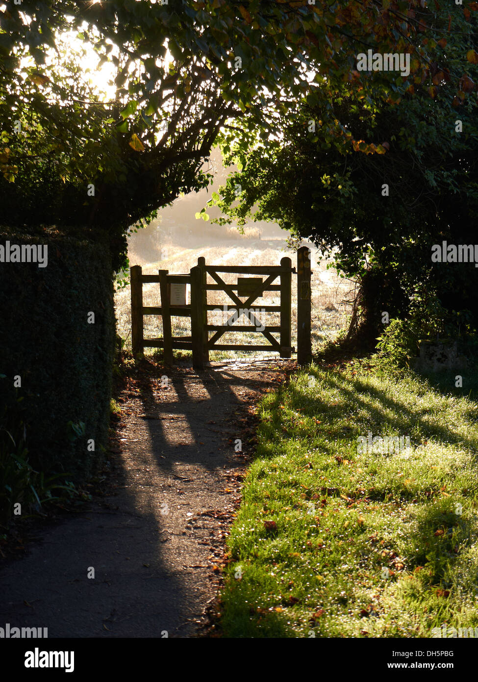 Silhouette of a fence and gate with a long shadow Lenham church yard ...