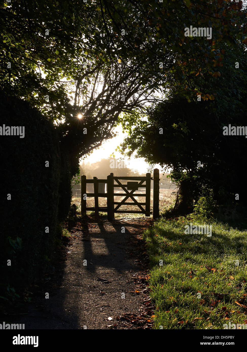 Silhouette of a fence and gate with a long shadow Lenham church yard ...