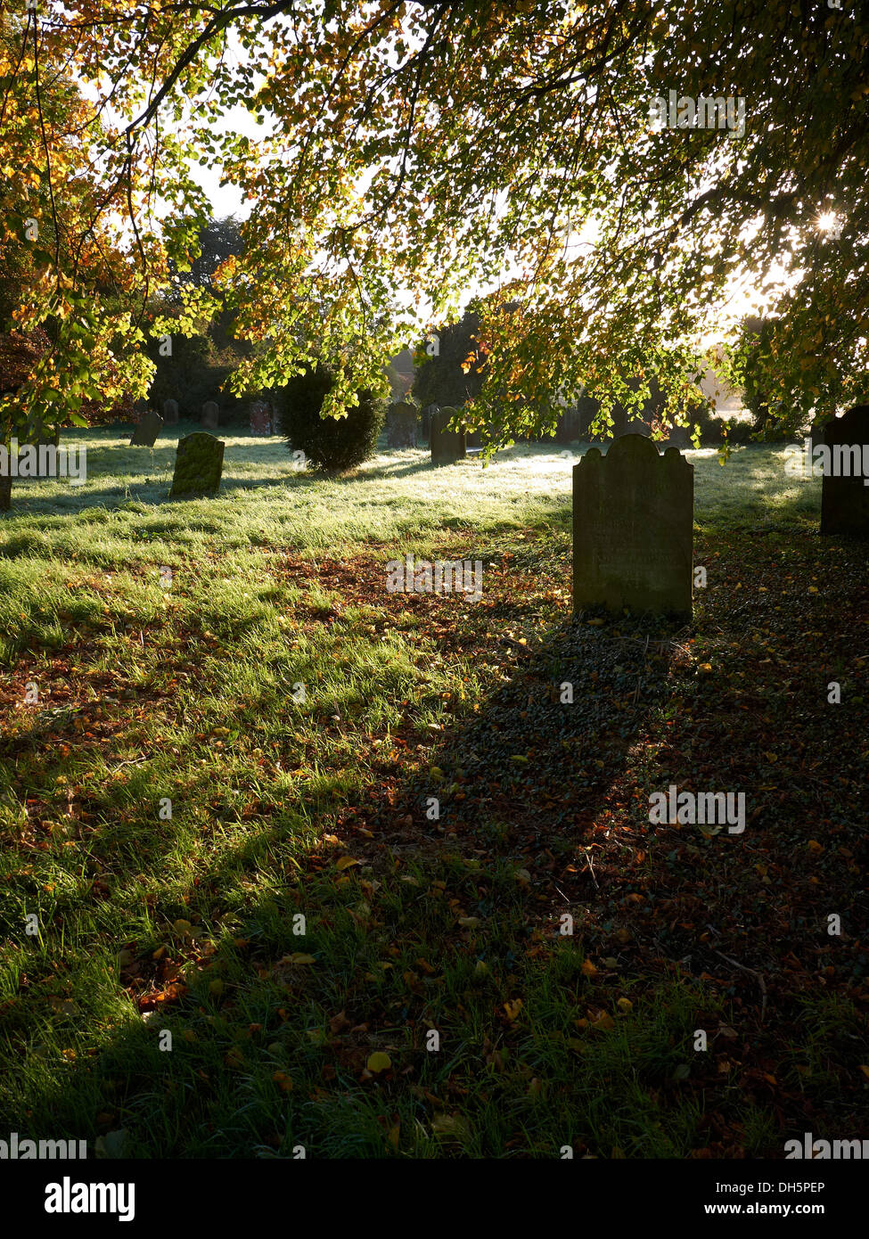 St Marys Church Lenham Stock Photo - Alamy