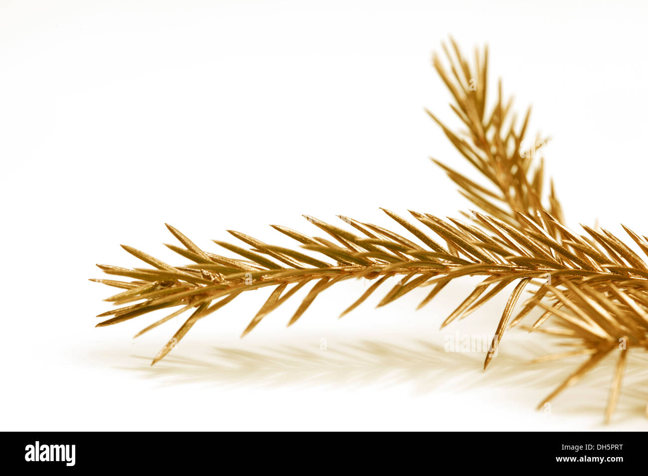 Golden christmas tree branch isolated on white background Stock Photo - Alamy