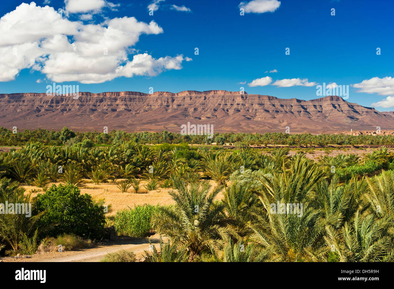 Valley of the Draa river with trees, shrubs and small fields, table ...