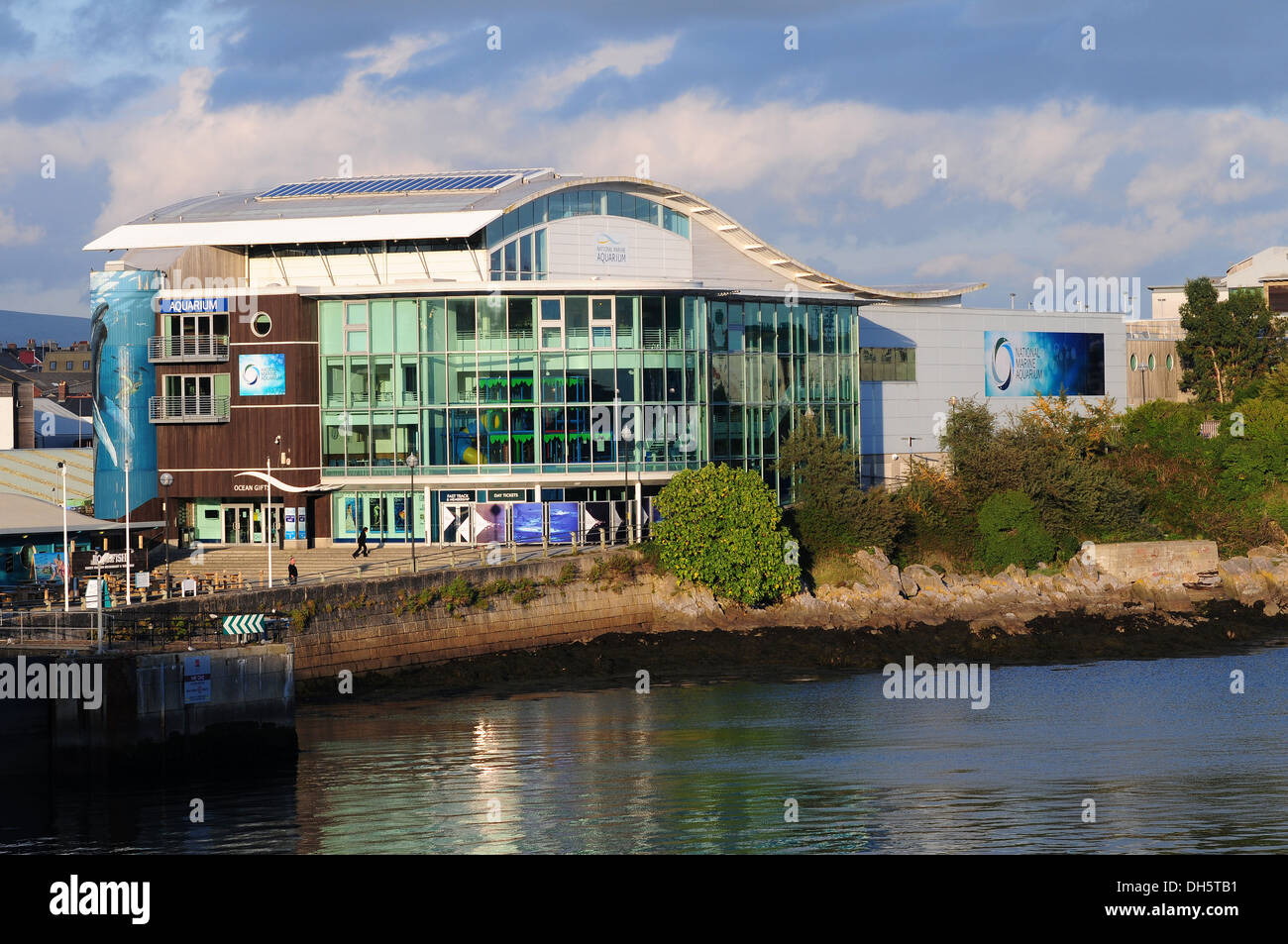 National marine aquarium hi-res stock photography and images - Alamy