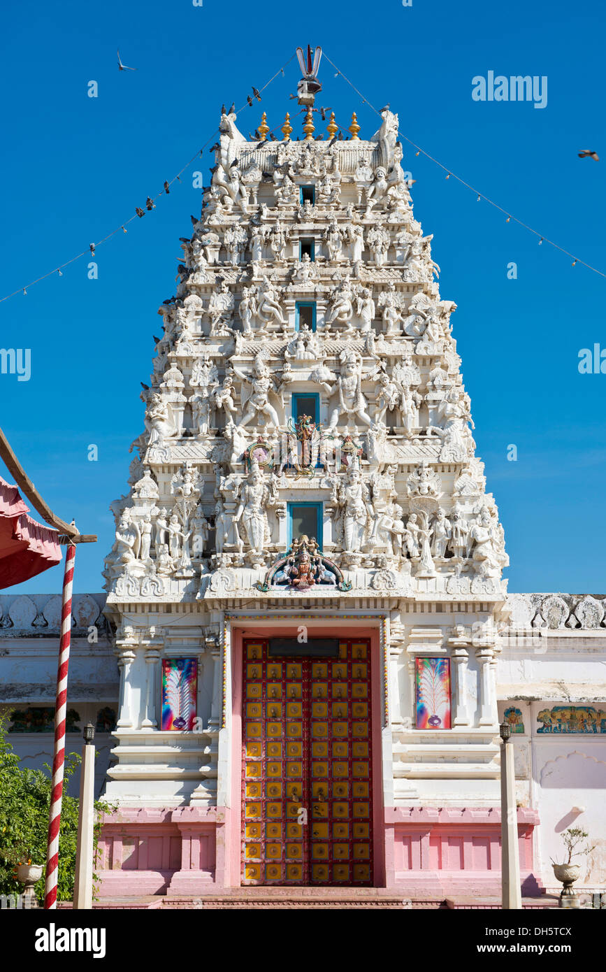 Vishnu temple pushkar rajasthan india hi-res stock photography and ...