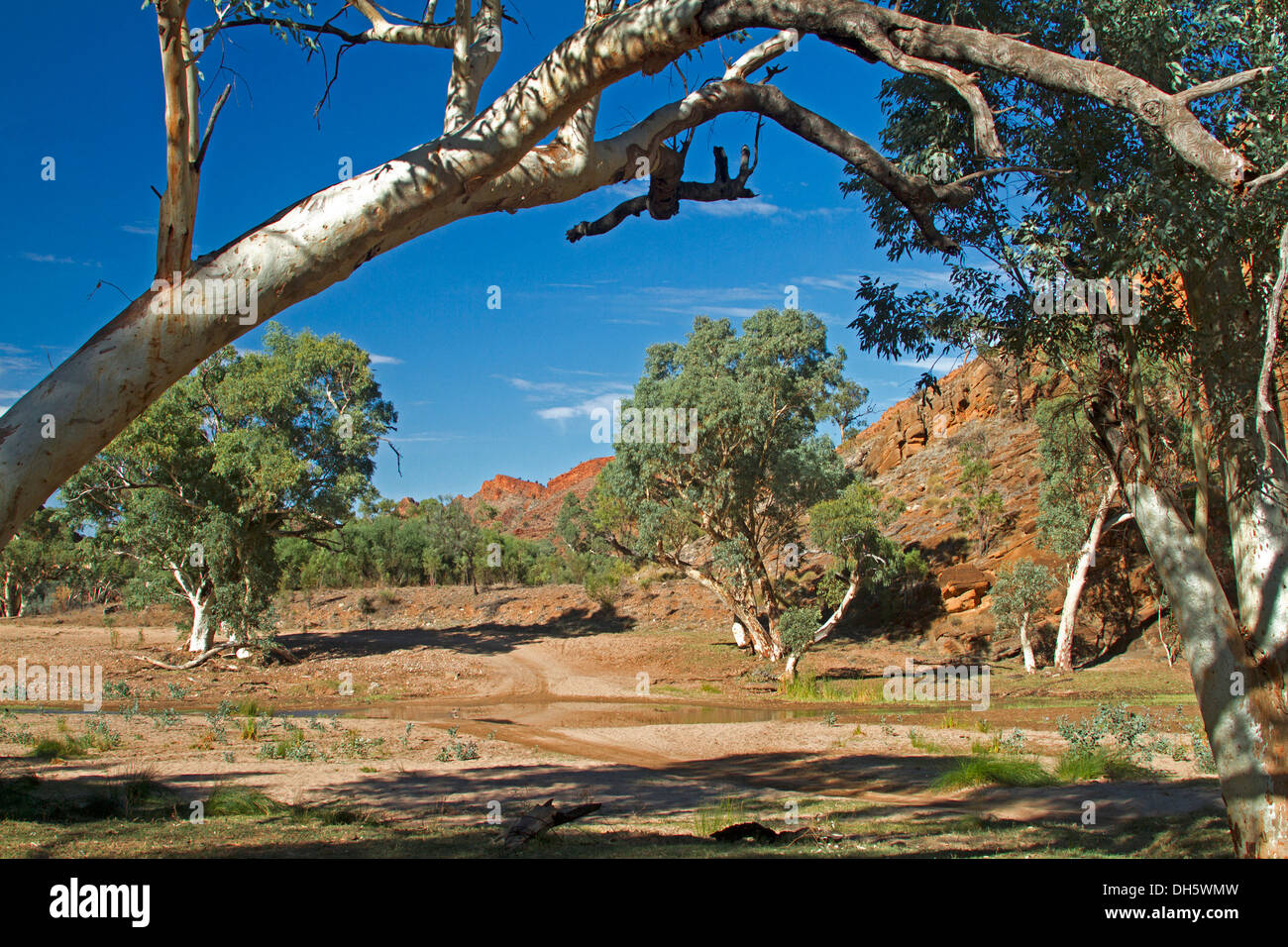 Australian outback landscape with track / road beside red rocks and ...
