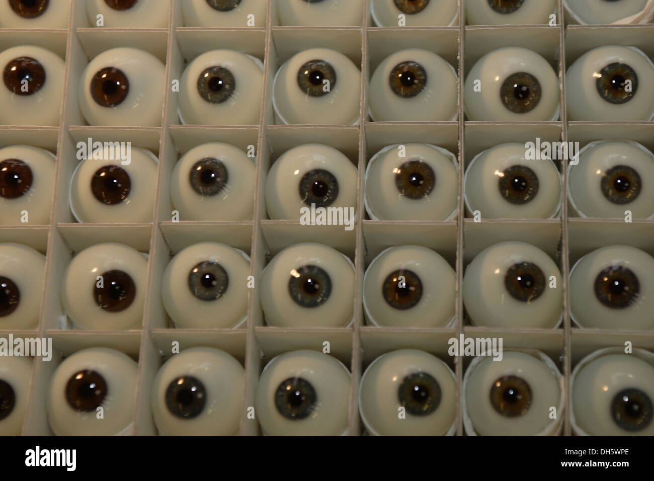 Tray of glass eyes hi-res stock photography and images - Alamy