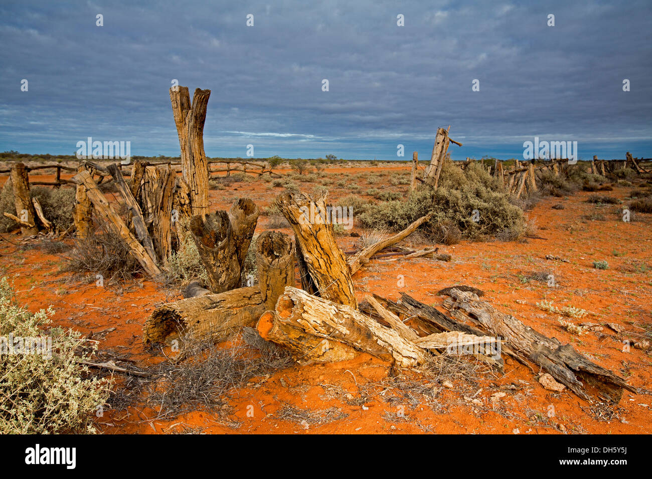 Outback landscape with ruins of historic stock yards on vast red plains ...