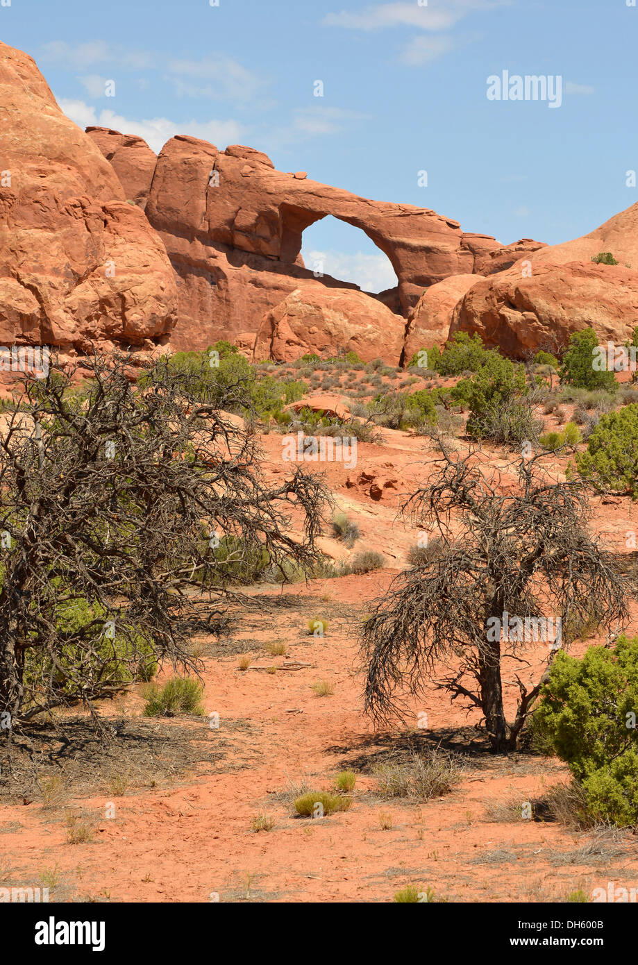 Skyline Arch rock formation, Devil's Garden Section, Windows Section ...
