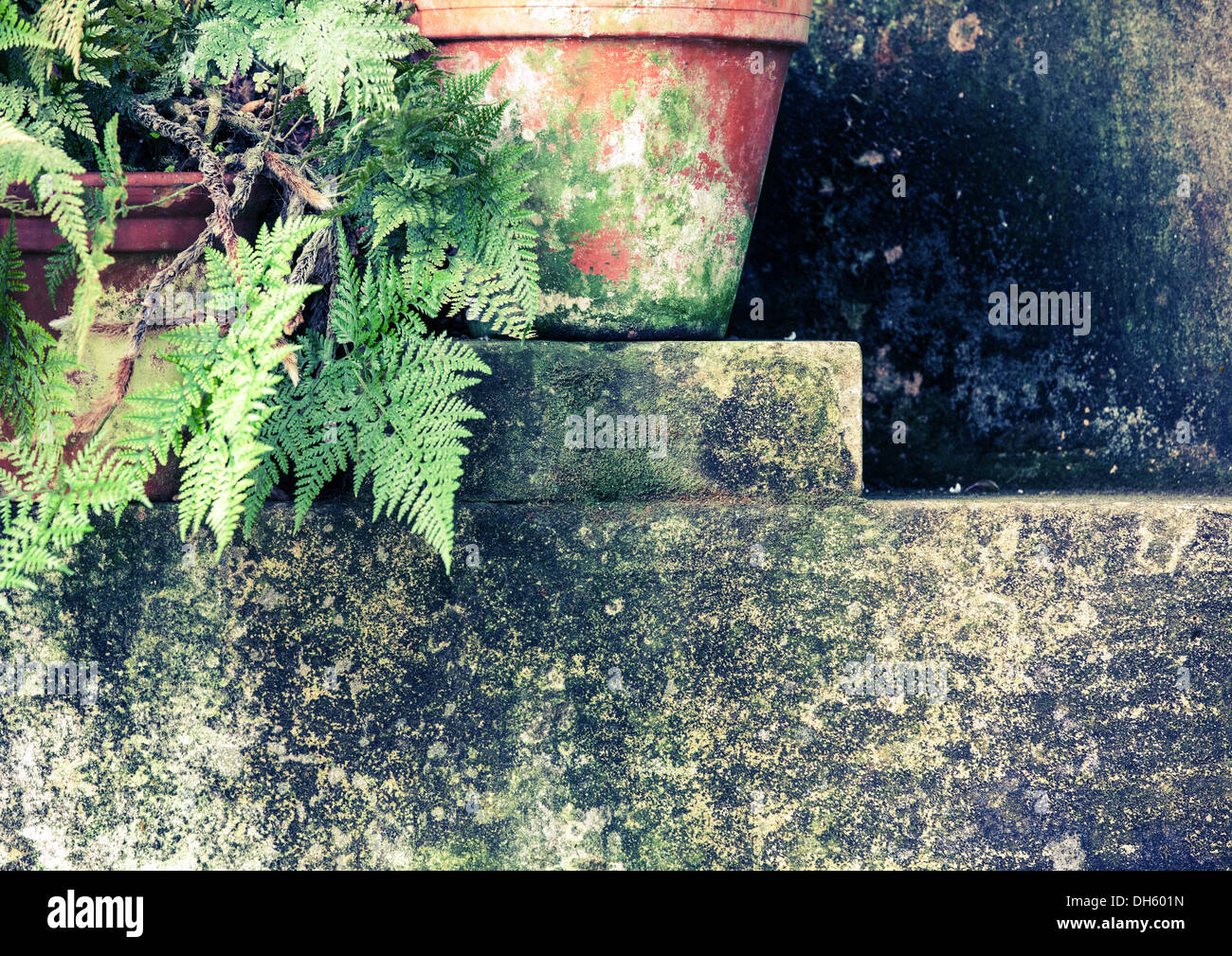 Planting pots step by step hi-res stock photography and images - Alamy