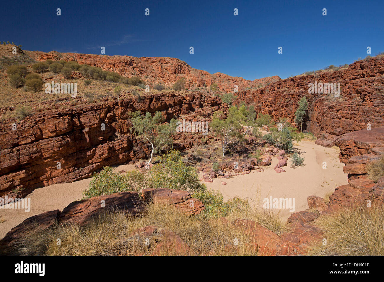 Outback landscape of high rocky cliffs and sandy riverbed in Trephina ...