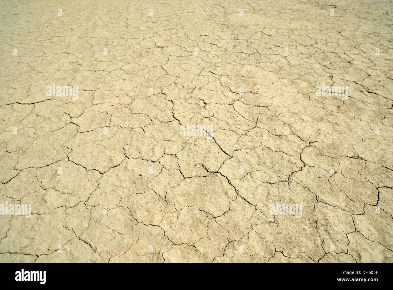 Mud drying out hi-res stock photography and images - Alamy