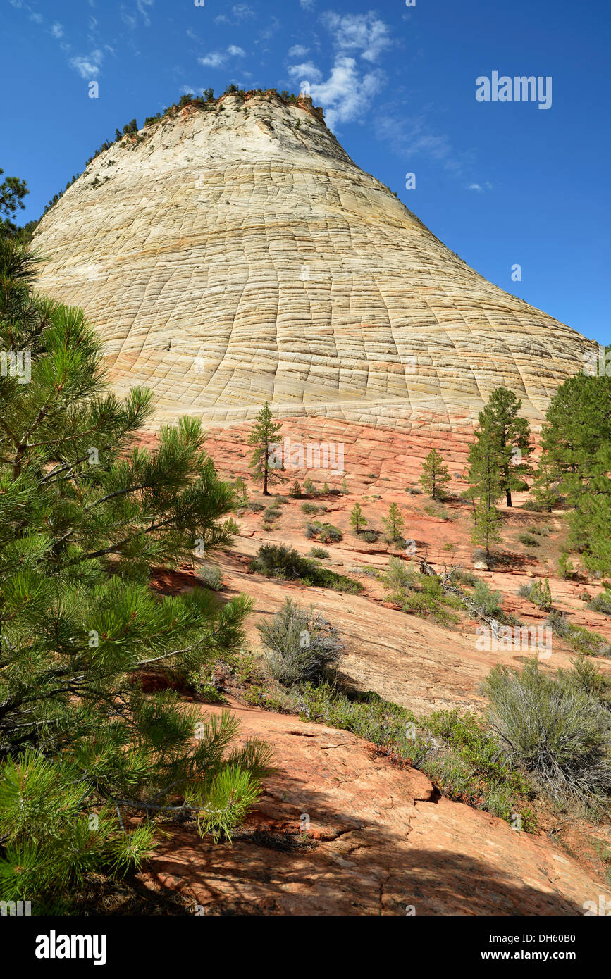 Checkerboard Mesa Table Mountain, Zion National Park, Utah, United ...