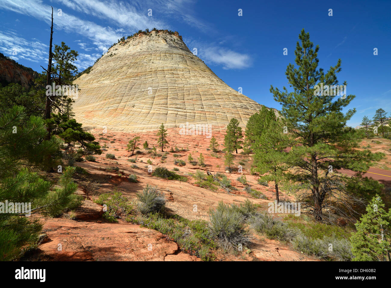 Checkerboard Mesa Table Mountain, Zion National Park, Utah, United ...
