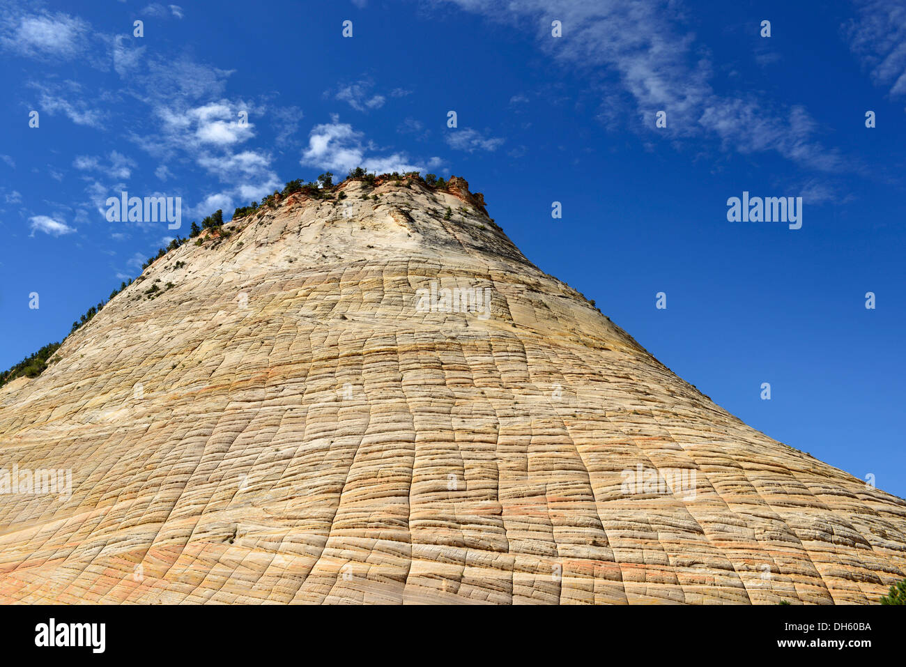 Checkerboard Mesa Table Mountain, Zion National Park, Utah, United ...