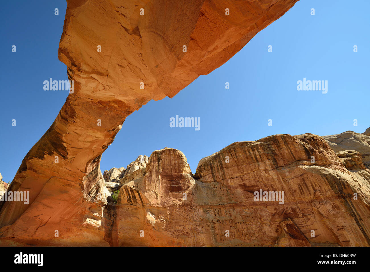 Hickman Bridge Trail, Capitol Reef National Park, Utah, USA Stock Photo ...