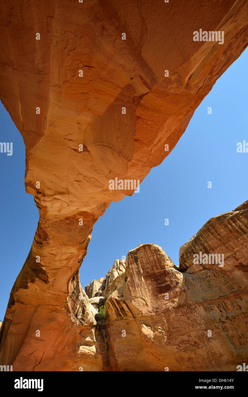 Hickman Bridge Trail, Capitol Reef National Park, Utah, Southwestern ...