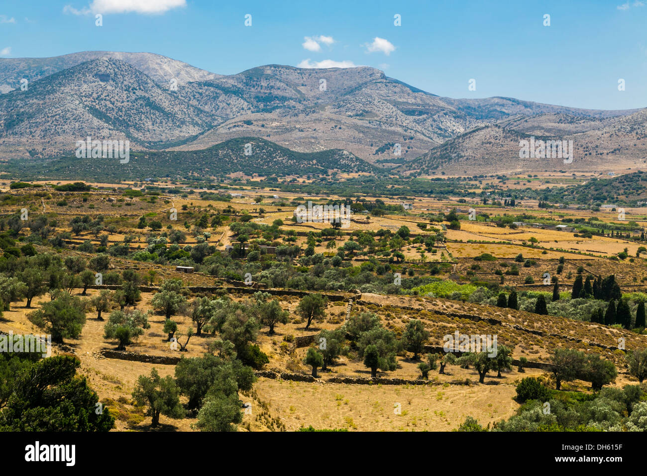 greek landscape with meadow, mountain and blue sky, demeter temple in ...