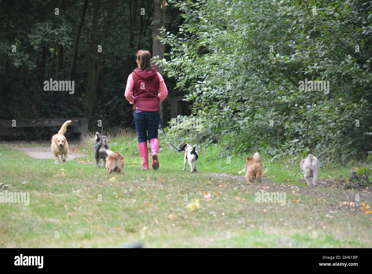 Pack walker hi-res stock photography and images - Alamy