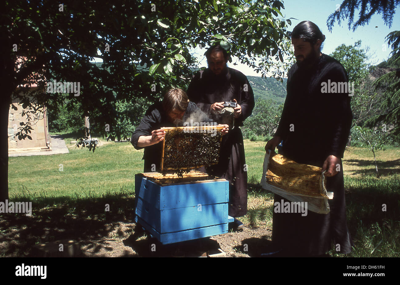 Russian honey bees hi-res stock photography and images - Alamy