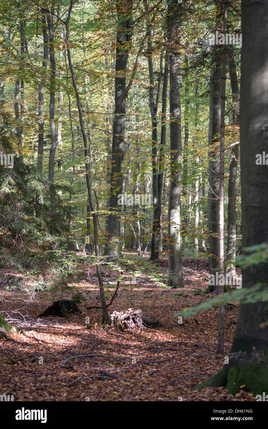 Flow of autum hi-res stock photography and images - Alamy