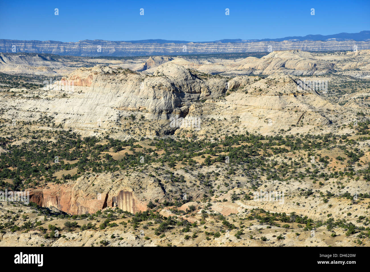 Devils Backbone High Resolution Stock Photography and Images - Alamy