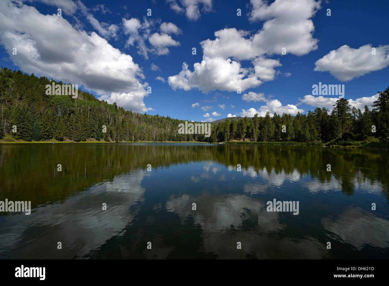 Posey Lake, Dixie National Forest, Utah, Southwestern USA, USA Stock ...